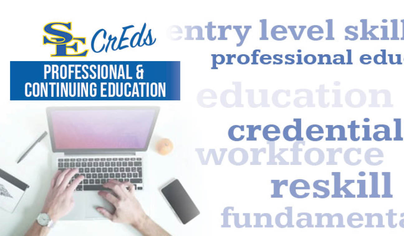 Micro-credentials - Career Services