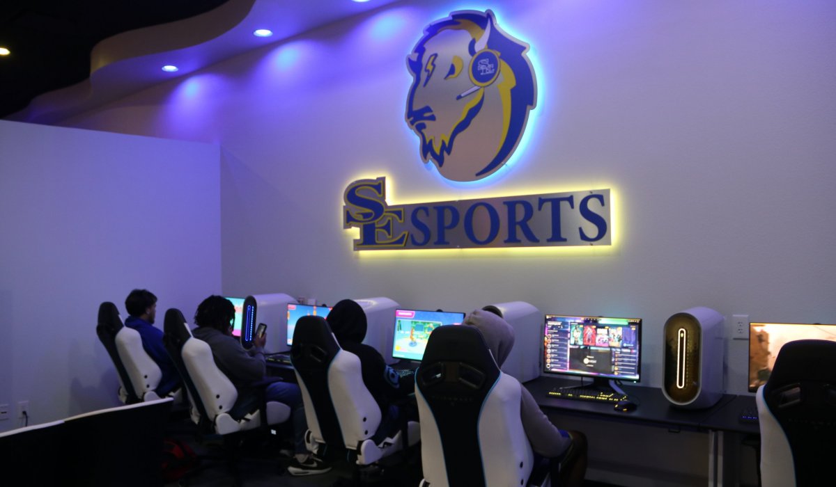 SEsports