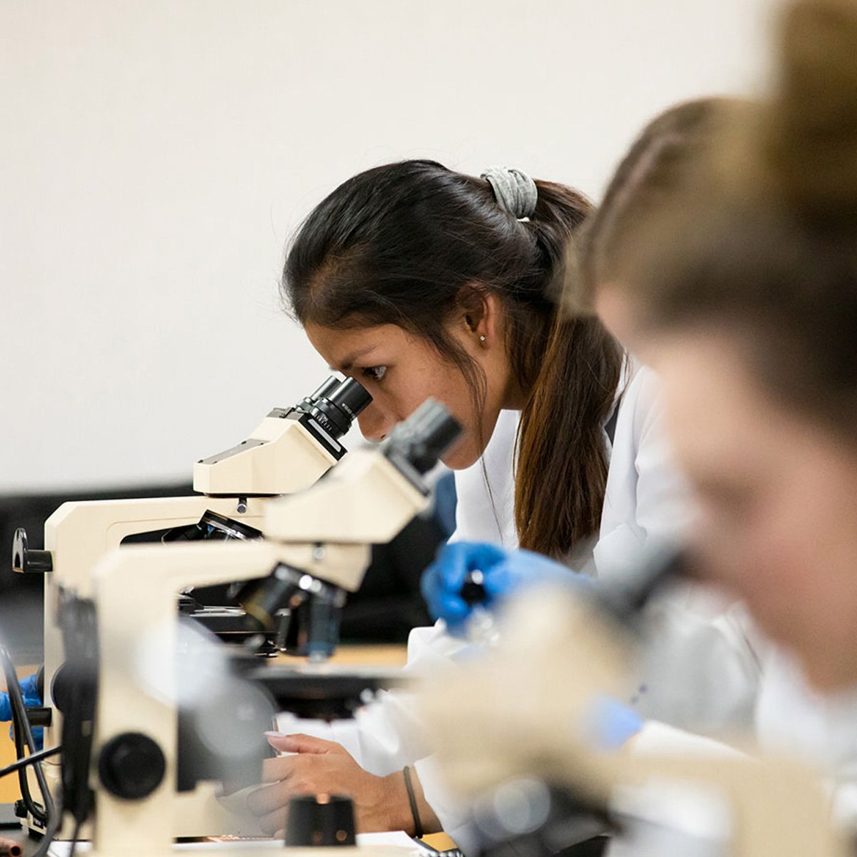 Academic Programs - Native American Institute