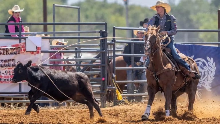 Betty Gayle Cooper Ratliff Memorial College Rodeo | Southeastern ...